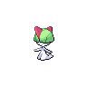 Rotomdex - Pokemon Card Management App